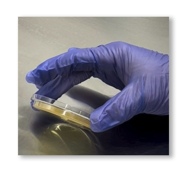 USP Monthly Surface Sample Testing