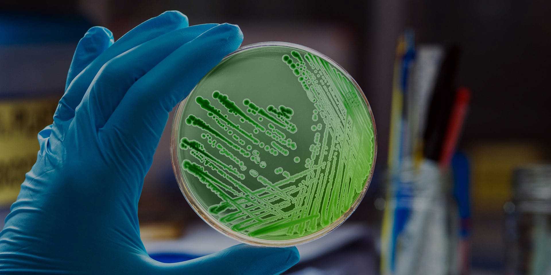 U.S. Micro Solutions, Inc, Environmental Microbiology