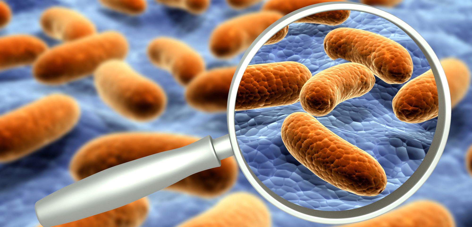 U.S. Micro Solutions, Inc, Environmental Microbiology